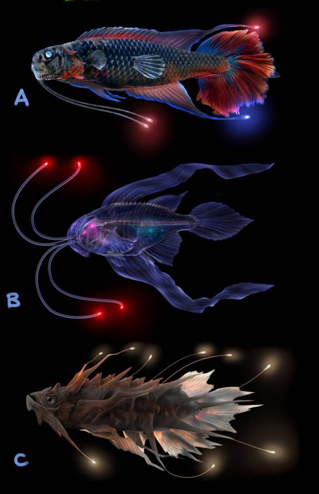 work stuff! | Muddy Colors