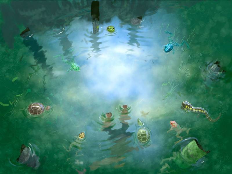 Water, Simplified | Muddy Colors