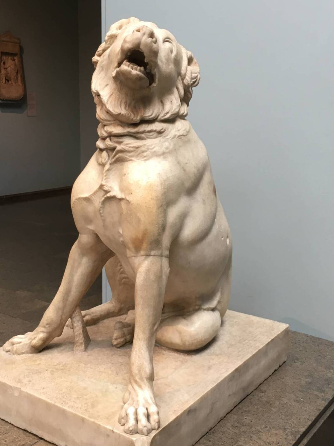 For the Love of Dogs | Muddy Colors