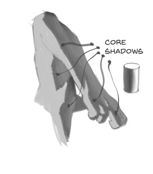 Core Shadows and Form Shadows | Muddy Colors
