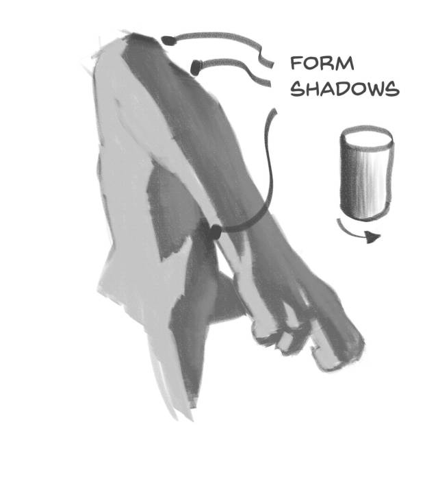 Core Shadows and Form Shadows | Muddy Colors