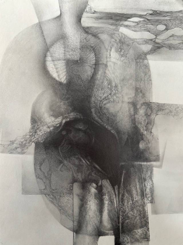 Waking WIllow | Muddy Colors